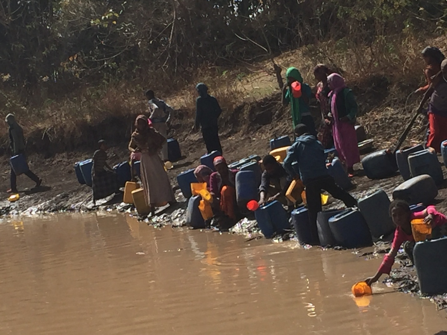 Gallery – Tulip Addis Water Filter